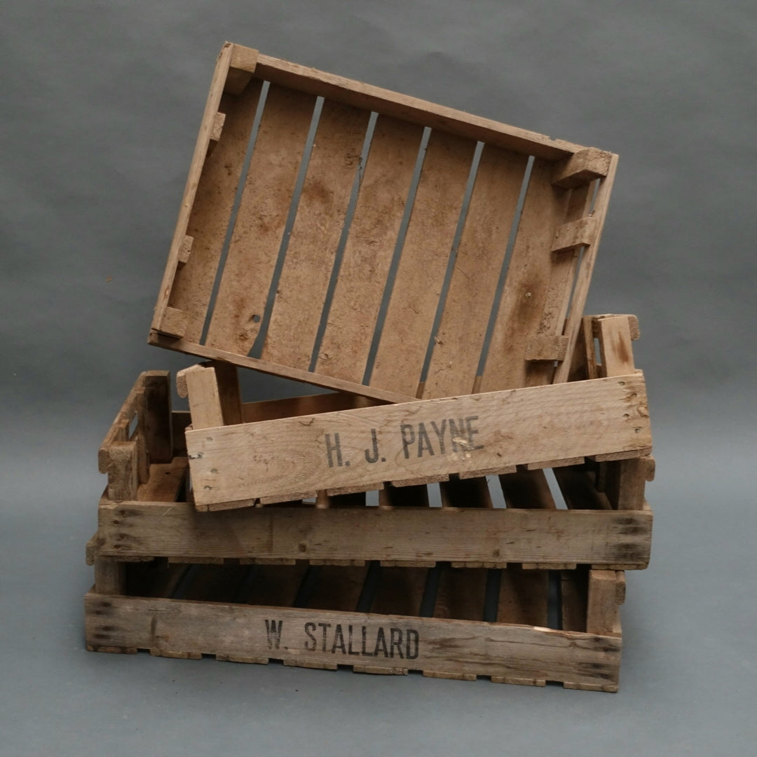 Apple storage / chitting trays – Bringsty Vintage